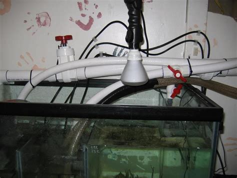 My Herbie Overflow Write Up Pics Beware 3reef Aquarium Forums