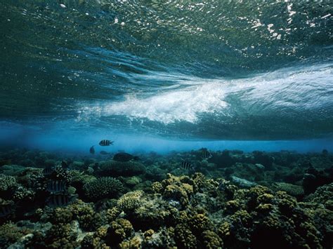 Ocean Landscape Wallpapers Top Free Ocean Landscape Backgrounds