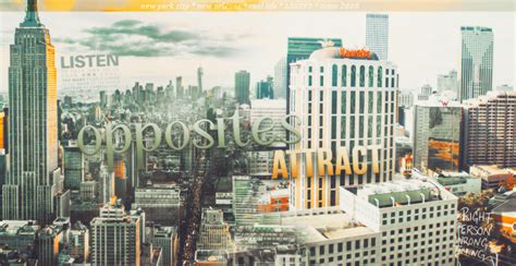 Opposites Attract Charakterstatistik Von Roxanne Pierce