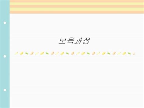 보육학개론 보육과정