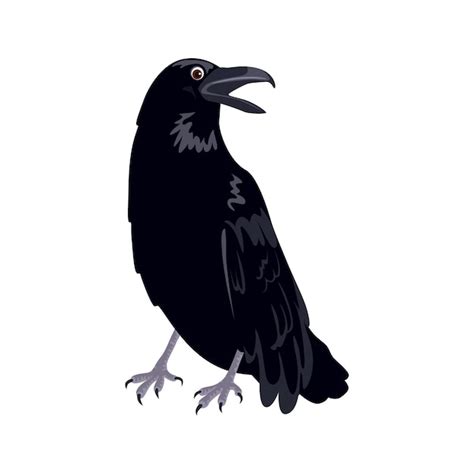 Black Raven Vector Illustration Premium Vector