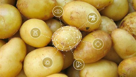 What Are The Powerful Benefits Of Ai For Potato Grading