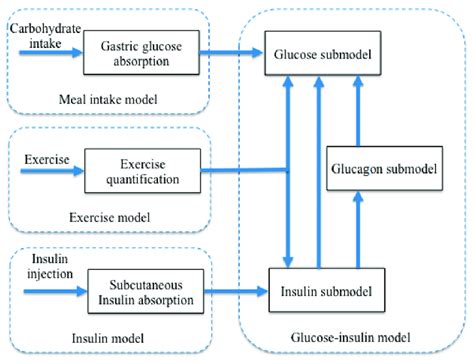 The Diabetic Patient Model Utilized For The Implementation Of Download Scientific Diagram