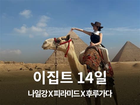 후루가다 포함 이집트 여행 14일 나일강 크루즈 카이로 피라미드 투어 벌룬투어 사하라 사막