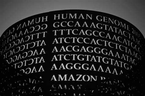 Genome Analysis Feminine Collective