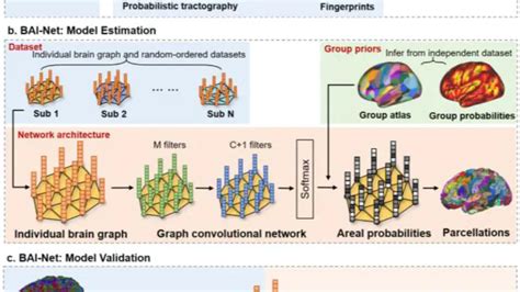 Individualized Brain Atlas Fan Labcasia