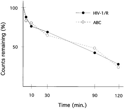 Wild Type Short Transcripts And Short Transcripts Carrying The Abc
