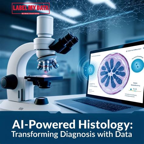 Label My Data On Linkedin Medicalimaging Ai Cv Medicalai