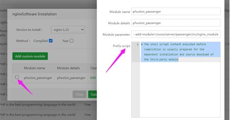 Failed Building Nginx With Phusion Passenger Module Aapanel Free
