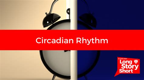 Circadian Rhythms And The Benefit For You Dr David Long Lubbock