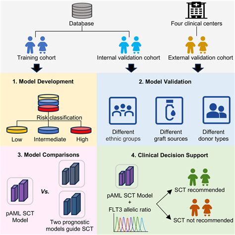 A Simplified And Robust Risk Stratification Model For Stem Cell