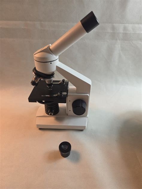 Amscope Microscope 10x And 25x Ebay
