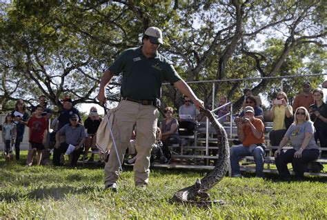 Snake Hunters Descend on Florida Everglades for Python-Killing ...