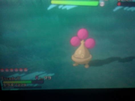 7 Sorry Everyone Another Shiny This Bonsly Will Be Sudowoodo
