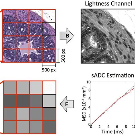 An Illustration Of Our Methodology For Deriving Simulated Adc Sadc Download Scientific