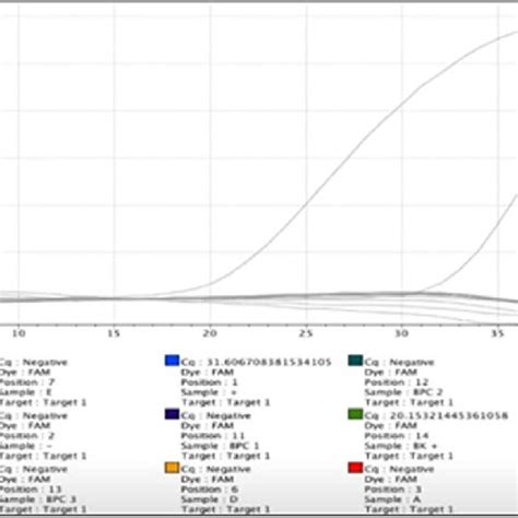 Amplification Graph Of The Test Samples And Positive Controls On Fam