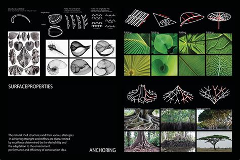 Force Flow Behance