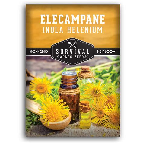 Elecampane Seeds Inula Helenium Herb Survivalgardenseeds