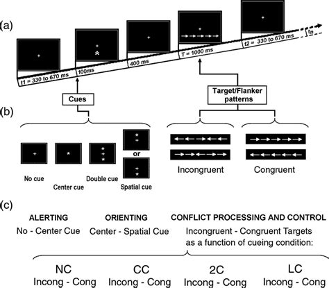 Schematic Representation Of The Cue Target Stimulation Procedures Used