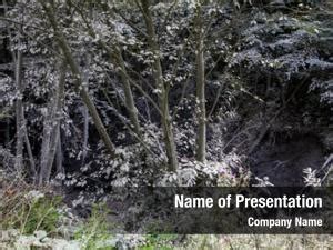 Pollution PowerPoint Templates Pollution PowerPoint Backgrounds Templates For PowerPoint