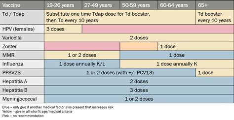 Adult Immunization Recommendations
