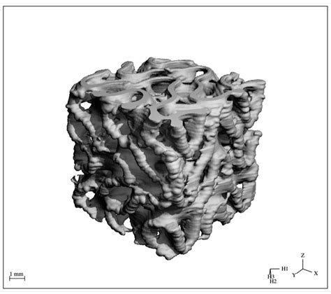 Robocasting Of Ceramic Fischerkoch S Scaffolds For Bone Tissue Engineering