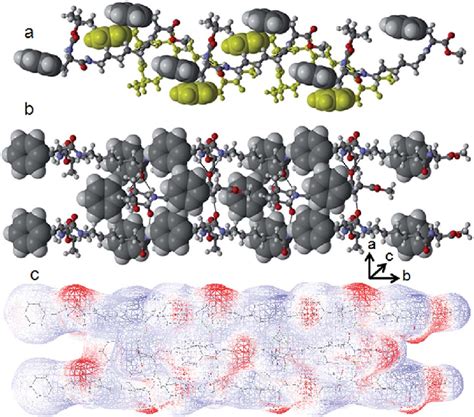A Side View Showing P P Interaction Mediated Packing Of Peptide 1