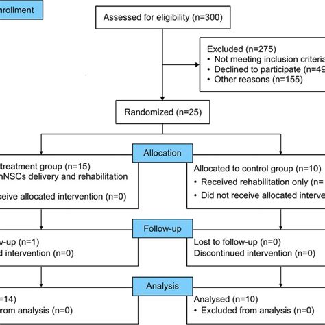 brain functional network analysis a the functional brain network in