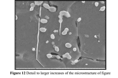 Sem Image Of The Steel Microstructure Of The Ring Globulized Iron Download Scientific Diagram