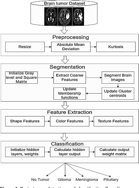 Figure 1 From Brain Tumor Detection And Categorization With