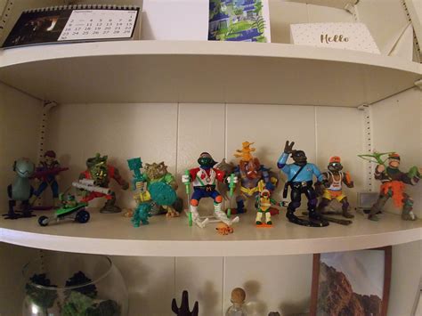 Finally Got My Grad School Collection Displayed R Tmnt