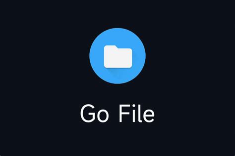 go file：基于 go 的文件分享工具 开箱即用 a姐分享
