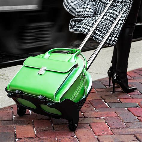 Wheeled Cases Mckleinusa