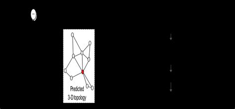 Fault Tolerant Network Topology Control Flow Chart Download