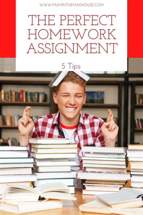 The Perfect Homework Assignment Key Elements For Effective And