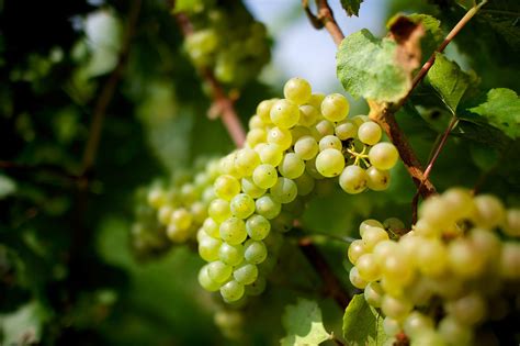 Eric Rodez The New Luxury Code