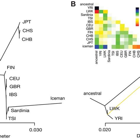 Results Of TreeMix Analysis Of The Iceman With G Sardinia Shown Download Scientific