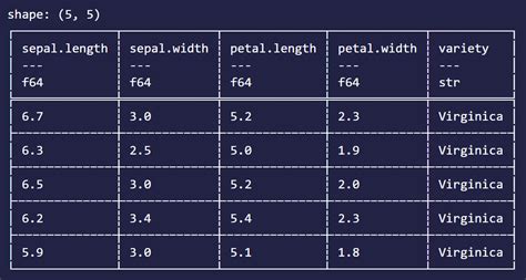 Rust机器学习之polars 阿里云开发者社区