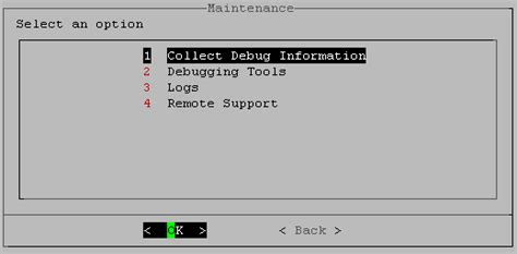 Collecting Debug Information
