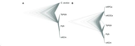 Bayesian Species Delimitation With Genomic Data For Crocodylus Download Scientific Diagram