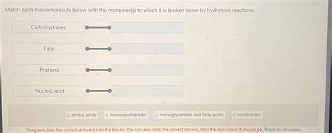 Solved Match Each Macromolecule Below With The Monomer S