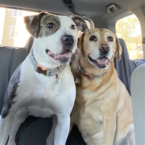 Meteorologist Jacob Lanier