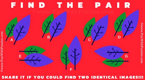 IQ Test Picture Riddle For Teens With Answer