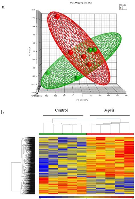 Panel A Principal Component Analysis Pca Of The Gene Expression