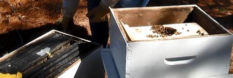 Setting Up A Beehive Part 2