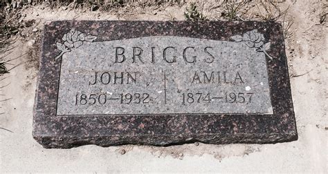 Amy Amelia Defries Briggs 1876 1957 Find A Grave Memorial
