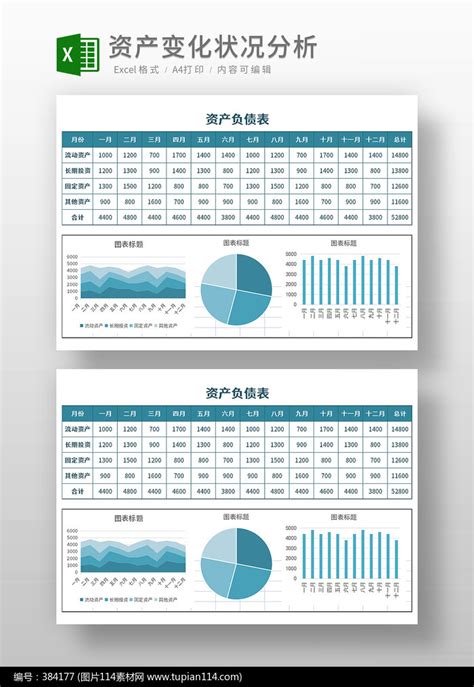 资产负债表模板 图片114
