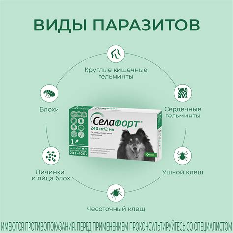 Селафорт для собак (20,1 - 40 кг) пипетка 2мл/240мг 1 шт - купить, цена ...