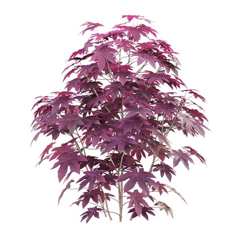 Ricinus Communis 04 Download The 3d Model 30209