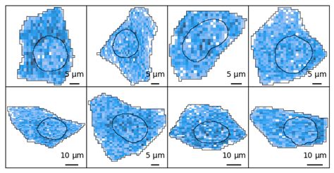 Spatial Plotting Bento Tools
